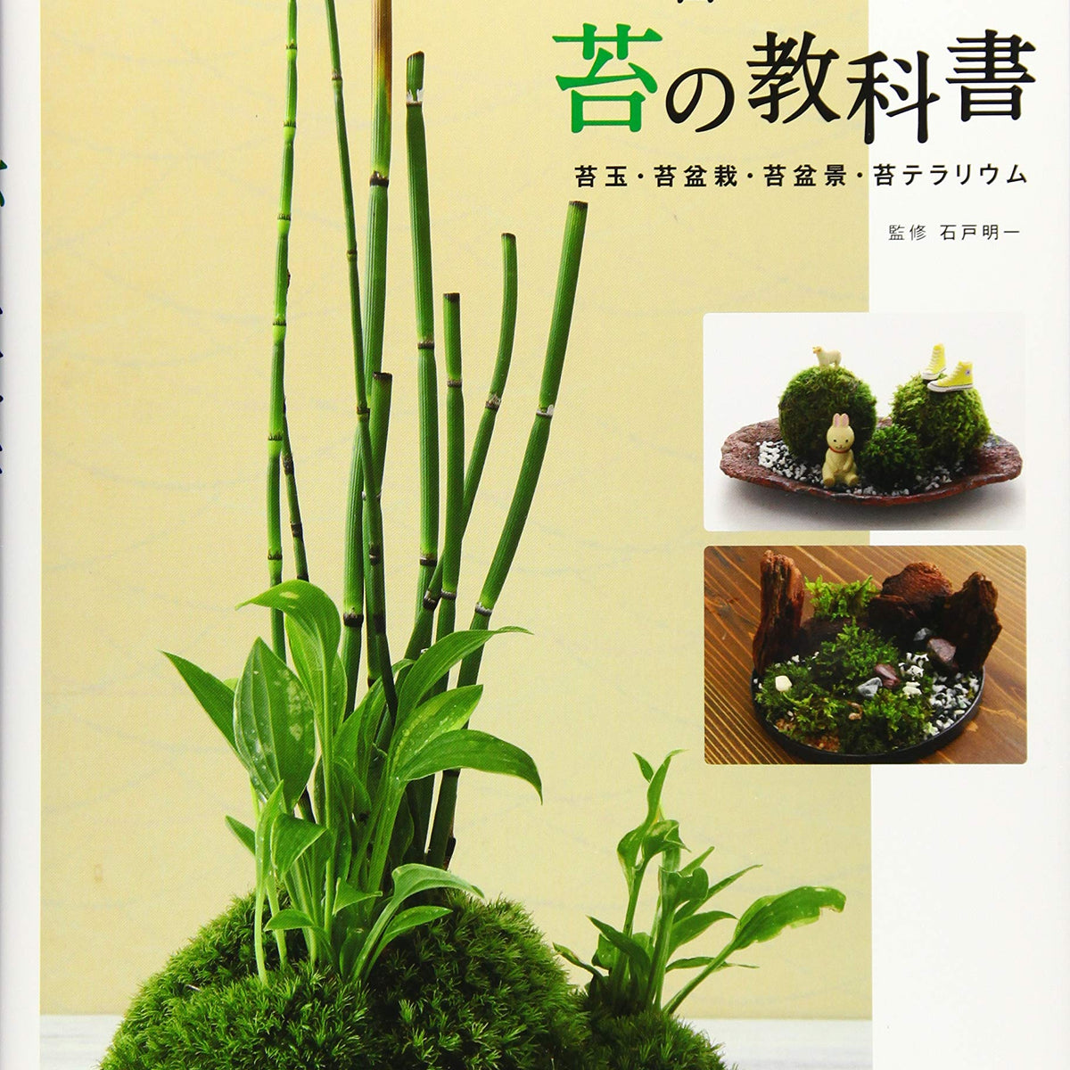 The most comprehensive textbook on moss Mio Nakamura Feel The Garden ...